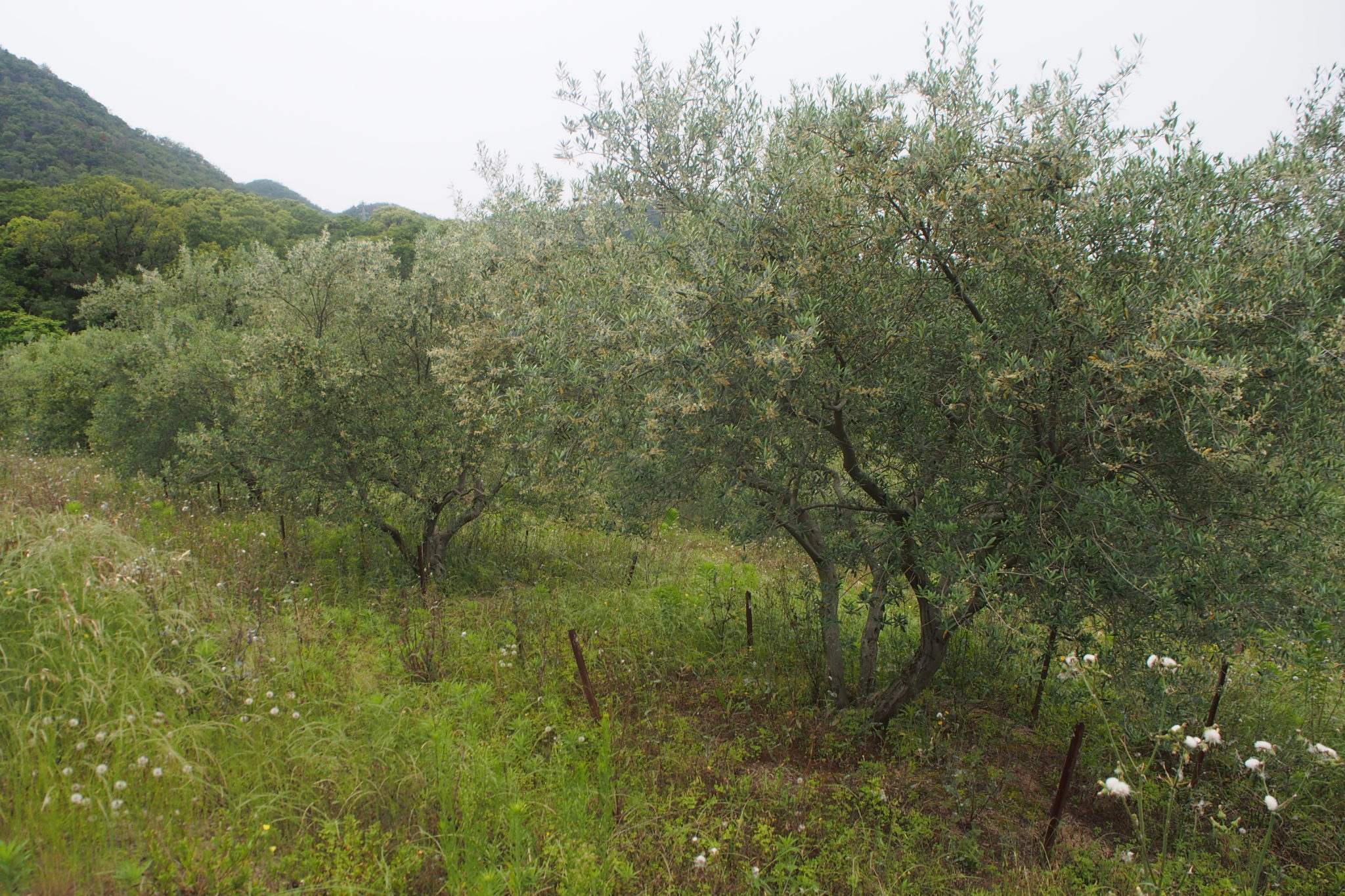 コープ基礎 2025リニューアル – CO-OP WEB LABO